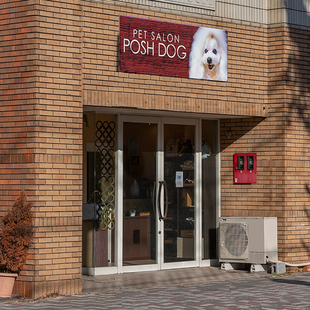 PETSALON POSH DOG